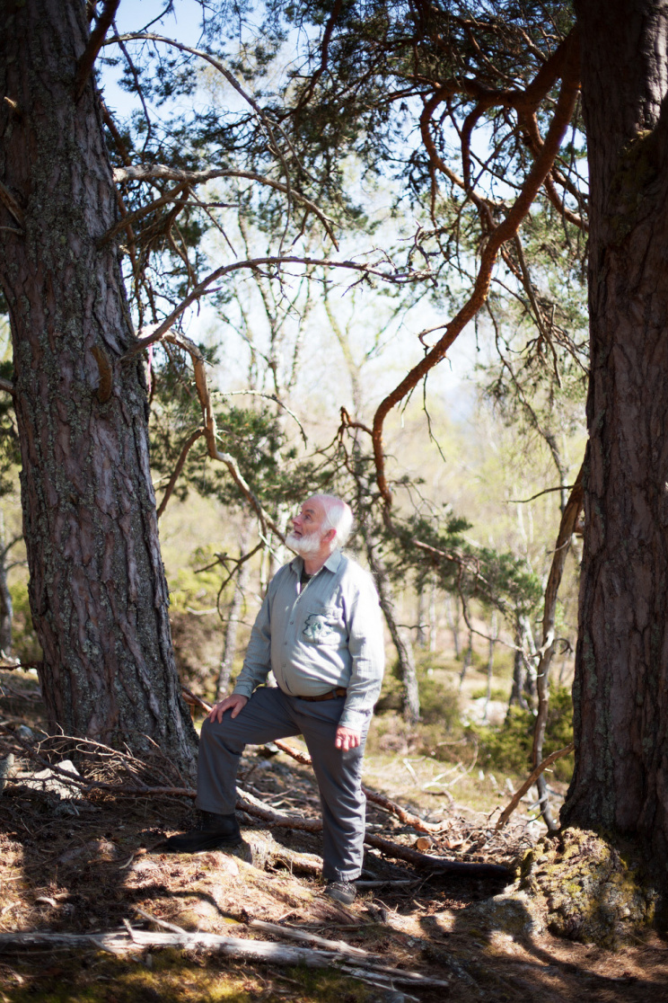 Another Escape | Trees for Life