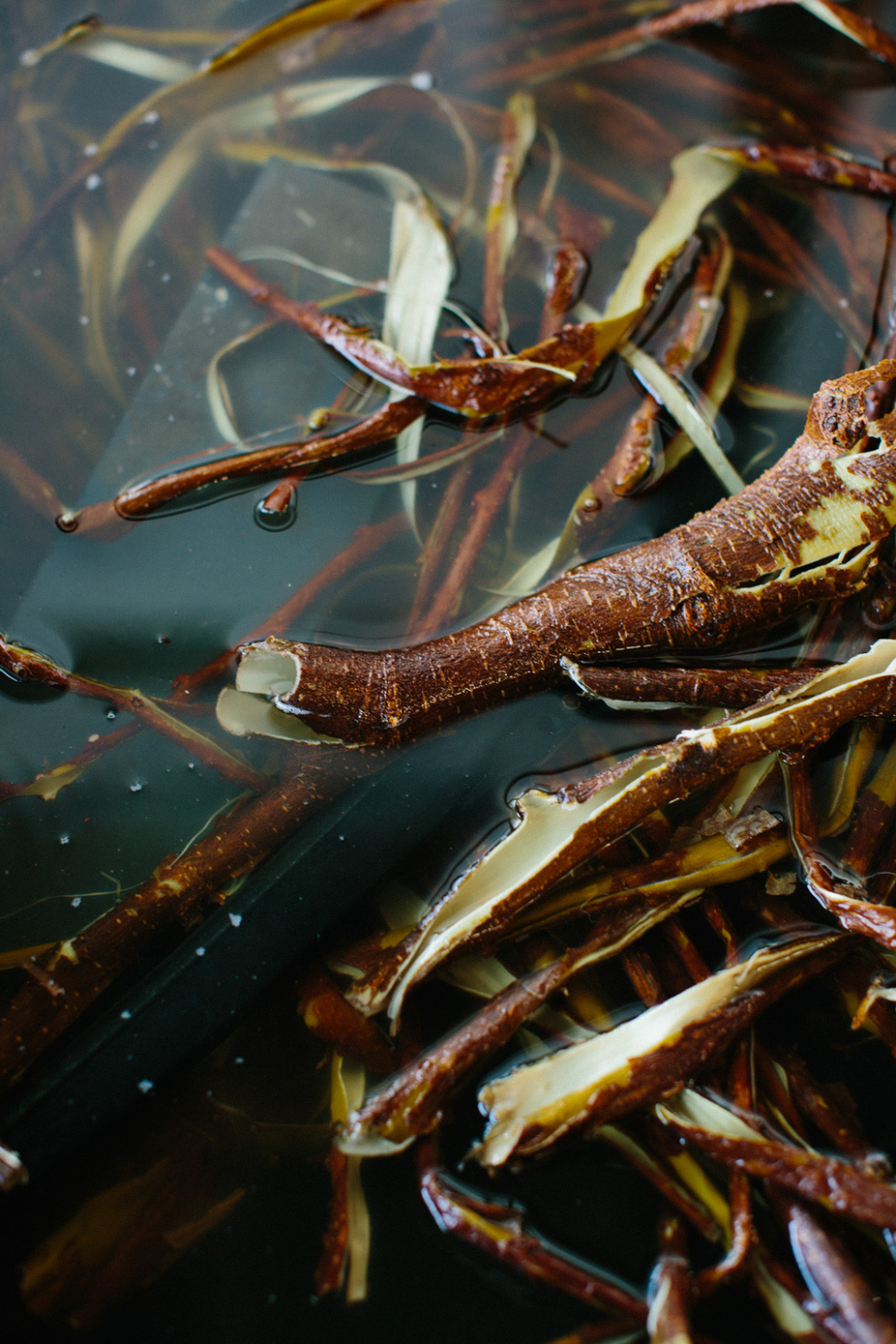 Another Escape | Korean Papermaking: Paper, Place & People